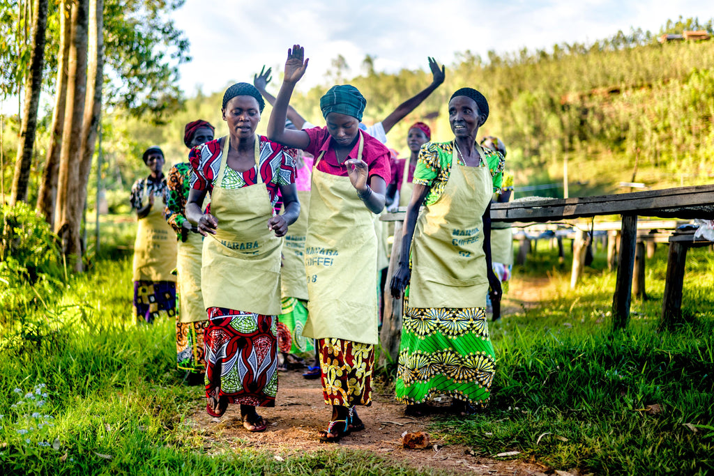 Maraba, Rwanda | Union Hand-Roasted Coffee – Union Coffee