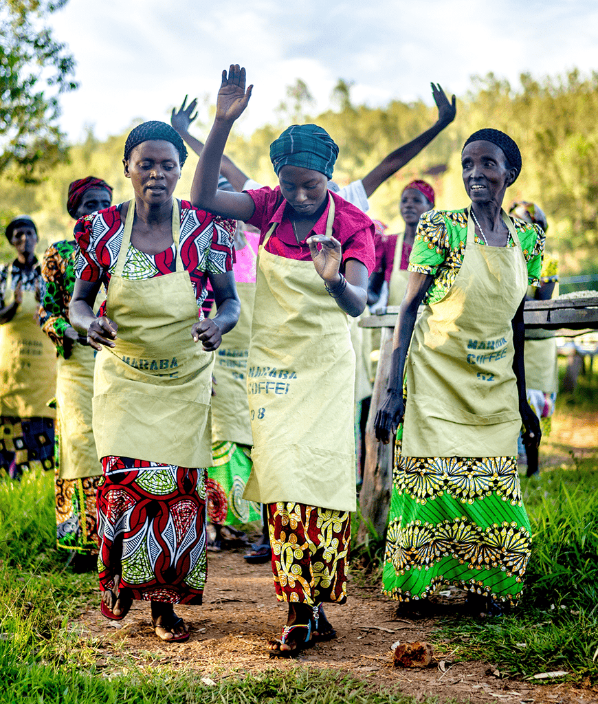 Maraba, Rwanda | Union Hand-Roasted Coffee – Union Coffee